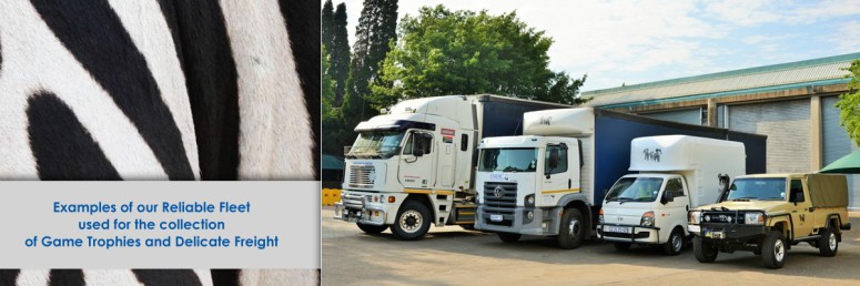 EMIAC | Specialists in Delicate Freight