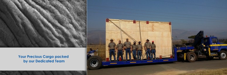 EMIAC | Specialists in Delicate Freight